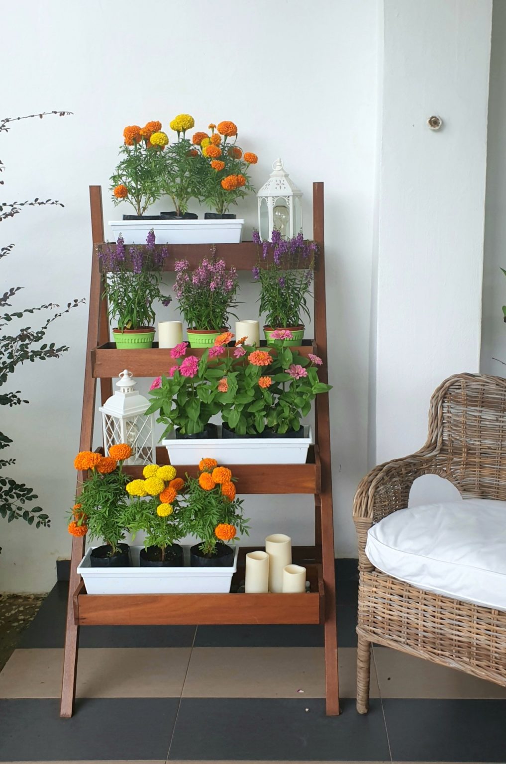 Ladder Planter Sweet